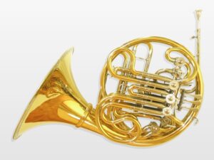 Les différents types de cors - The Contemporary Horn