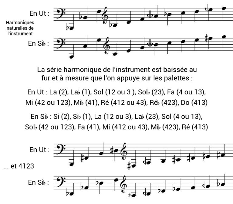 Les différents types de cors - The Contemporary Horn