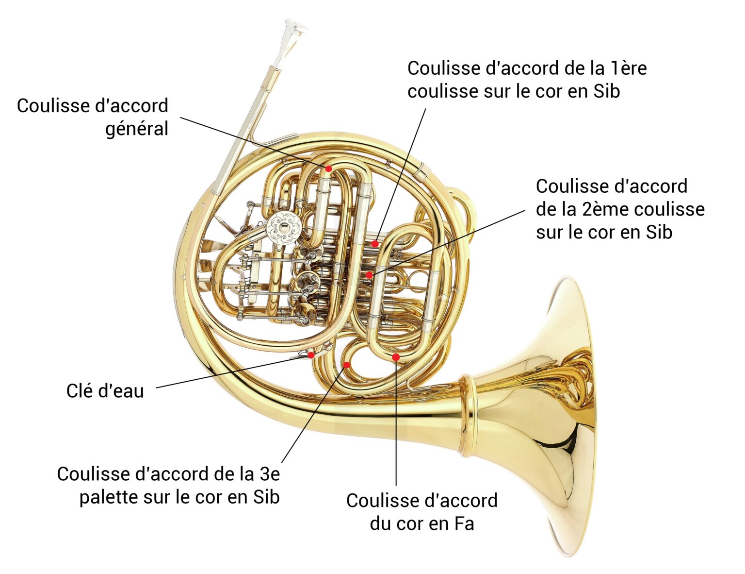 The different types of horns - The Contemporary Horn